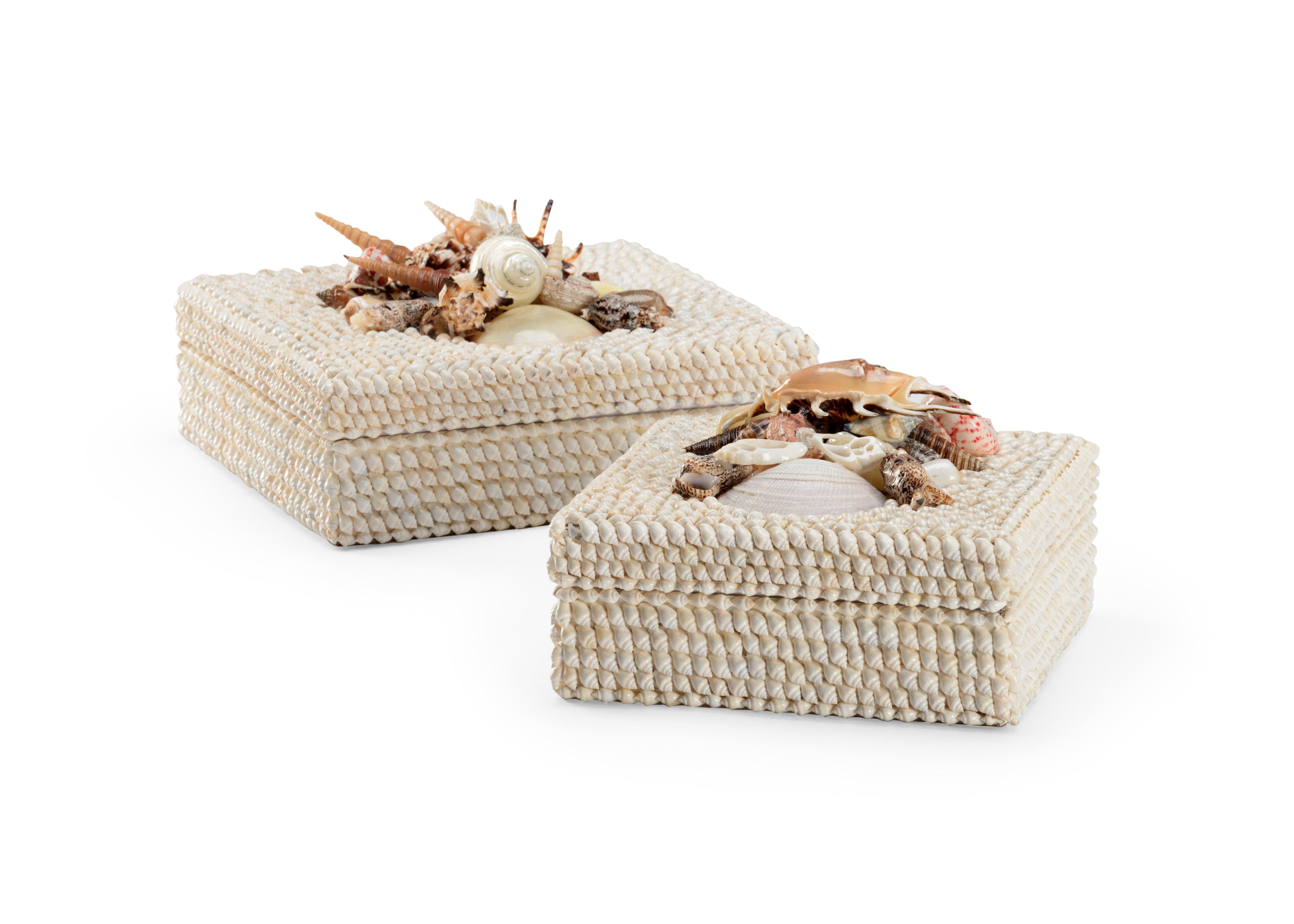 Chelsea House White Shell Boxes (S2) - 384163